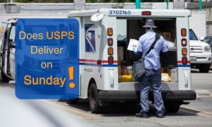 Does USPS Deliver on Sunday? [Full Guide 2024 ] - PostScan Mail